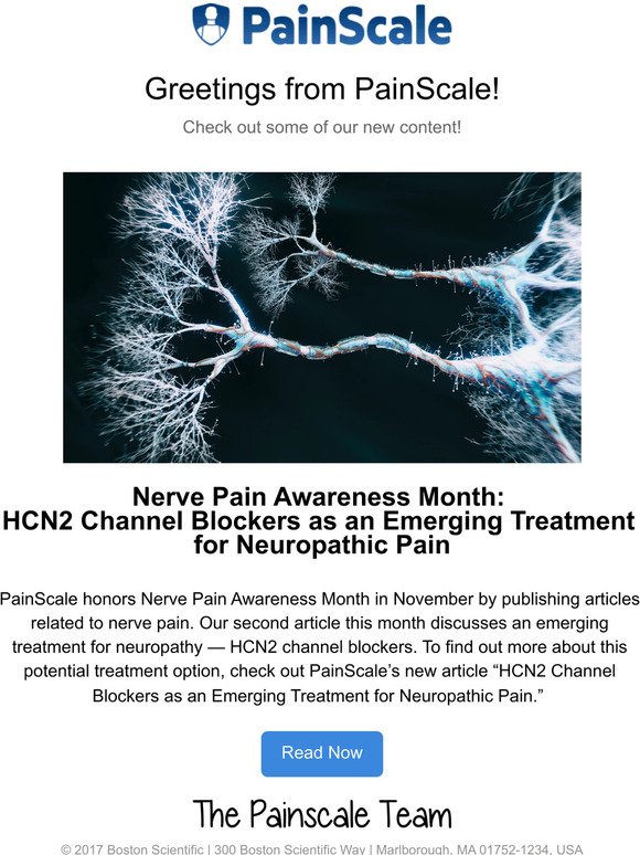 PainScale: Nerve Pain Awareness Month: HCN2 Channel Blockers as an ...