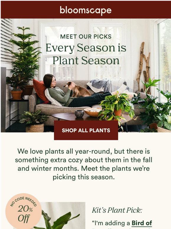 Bloomscape: Every Season is Plant Season | Milled