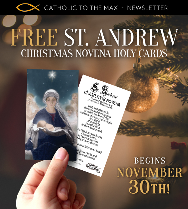 Catholic to the Max: FREE St. Andrew Novena Holy Cards! | Milled