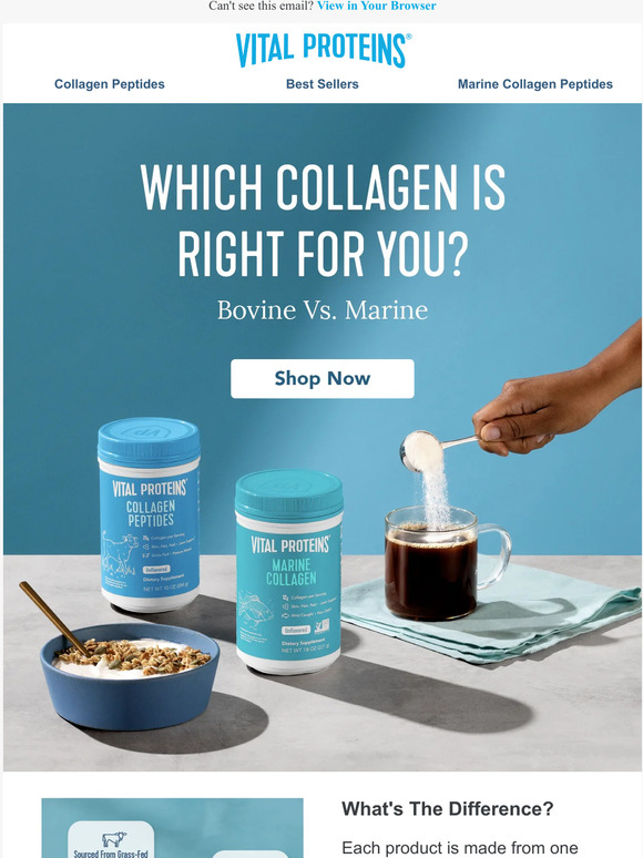 Vital Proteins: Which Collagen Source Is Right For You? | Milled