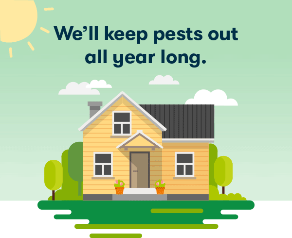 Terminix: Fall brings spiders, roaches and mice | Milled