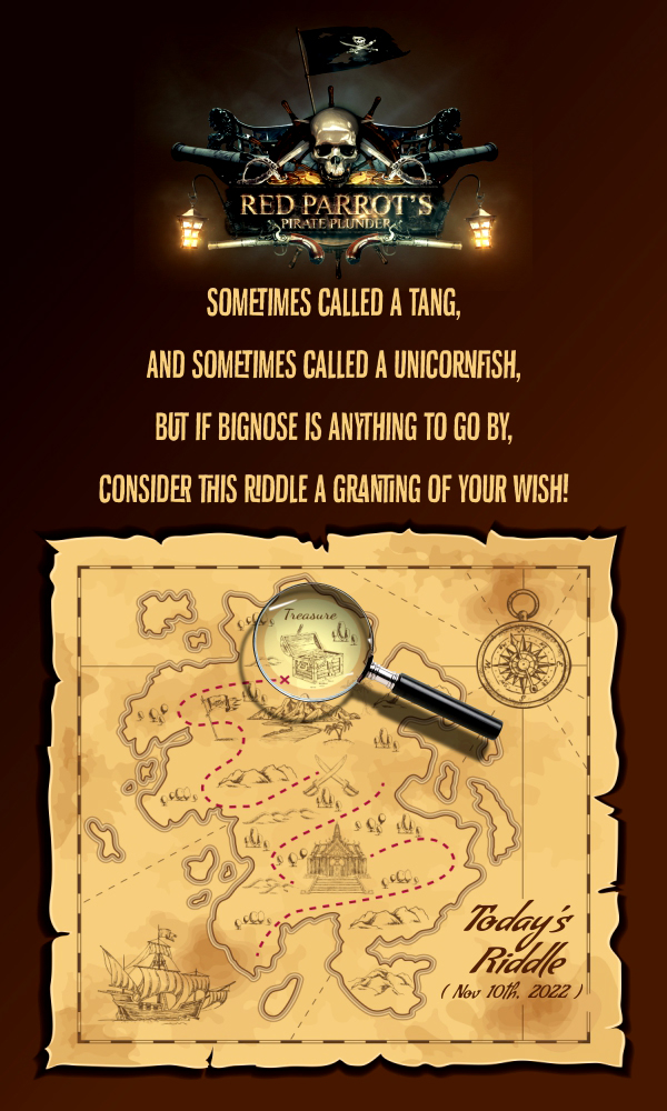 LiveAquaria: The Red Parrot's Pirate Plunder continues with Riddle #32 ...