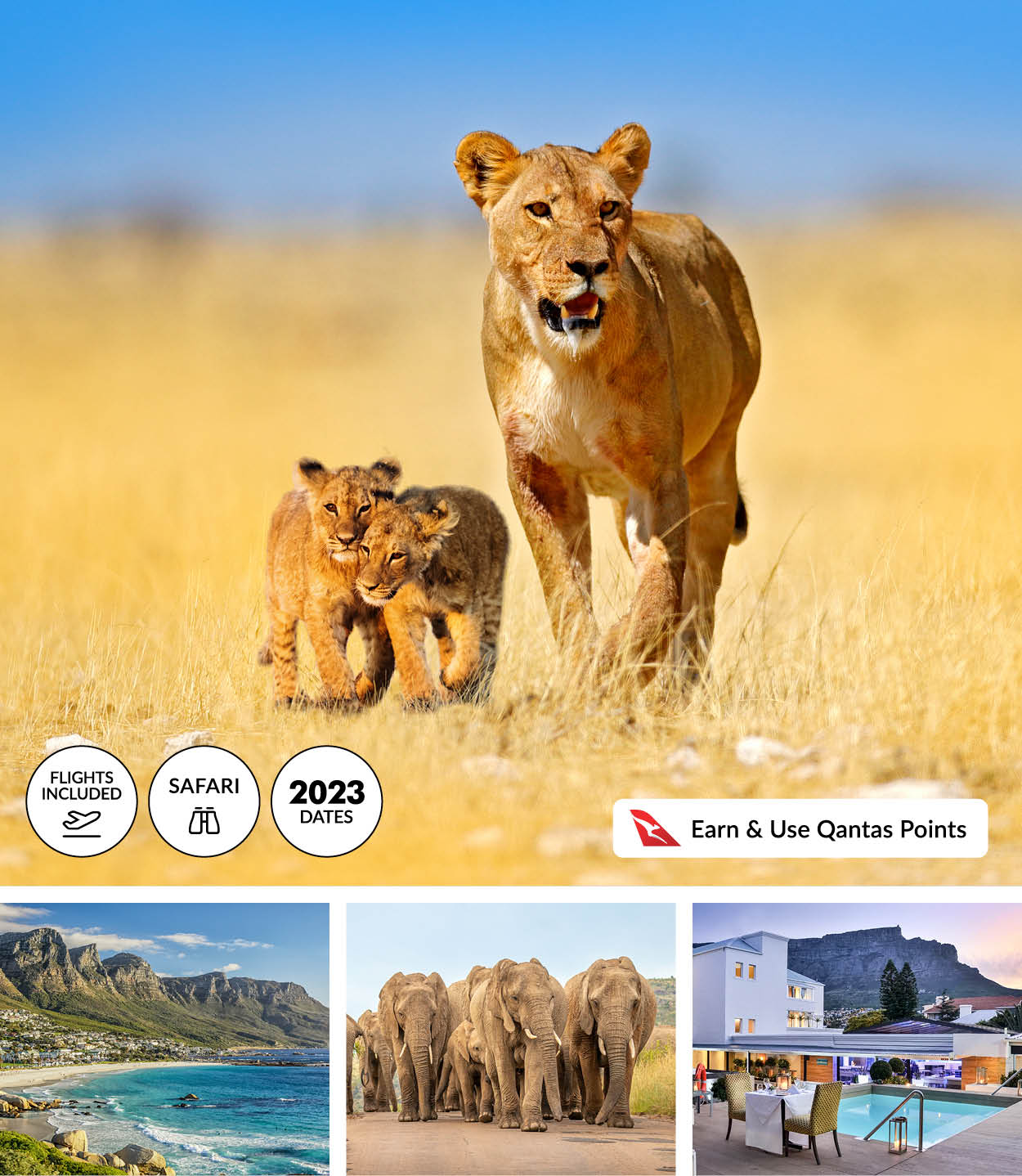 TripADeal: 🦁 See the Big Five with a 10 Day South African Discovery ...