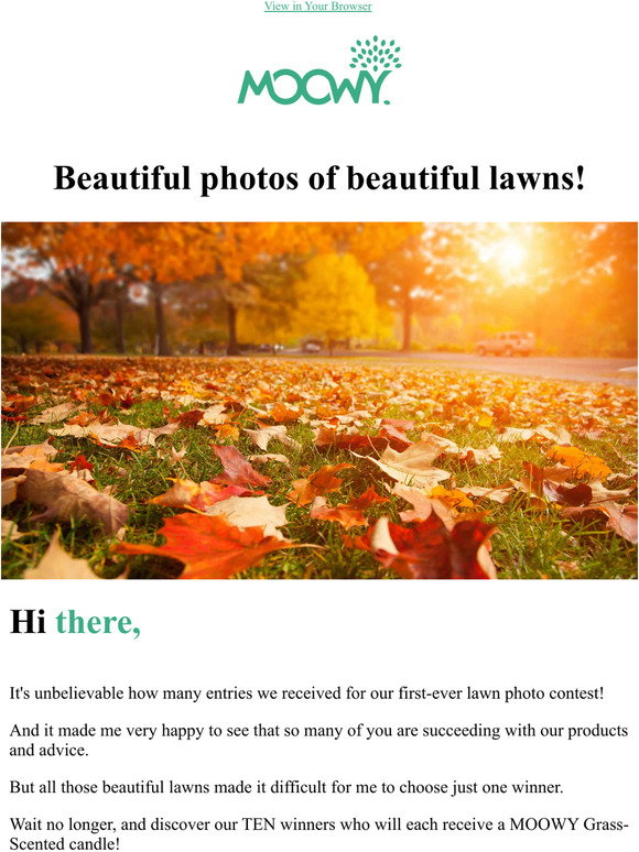 MOOWY UK: MOOWY Lawn Photo Competition winners 📸 | Milled