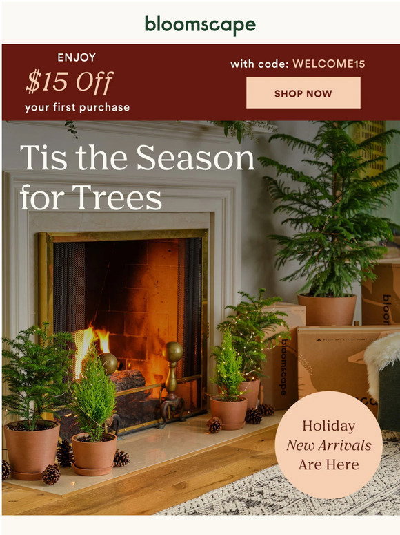 Bloomscape: Tis the Season for Trees 🎄 | Milled
