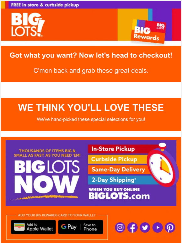 Big Lots: Where'd you go? Ready to checkout? | Milled