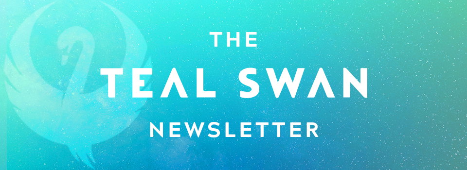 Teal Swan: Are Long-Lasting Relationships Successful? | Milled
