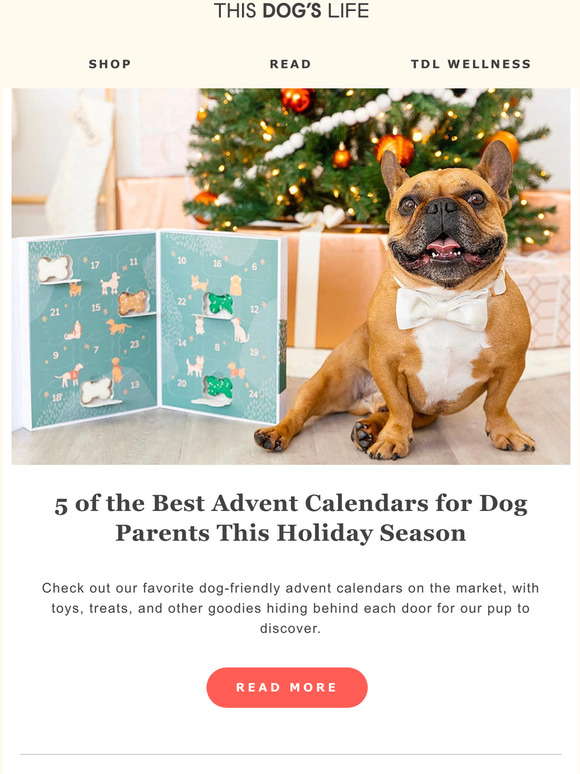 This Dog's Life: 5 of the Best Advent Calendars for Dog Parents This ...