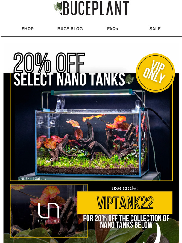Buce Plant: You've gained early access! 🌱 Take 20% off nano tanks | Milled