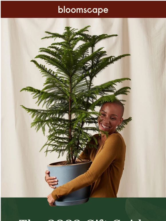 Bloomscape: The Gift Guide for Plant Lovers 🎁 | Milled