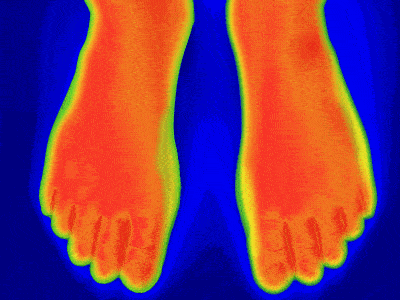 PaleoPlan: Crazy secret for relieving nerve-pain… feel it in 15 min ...