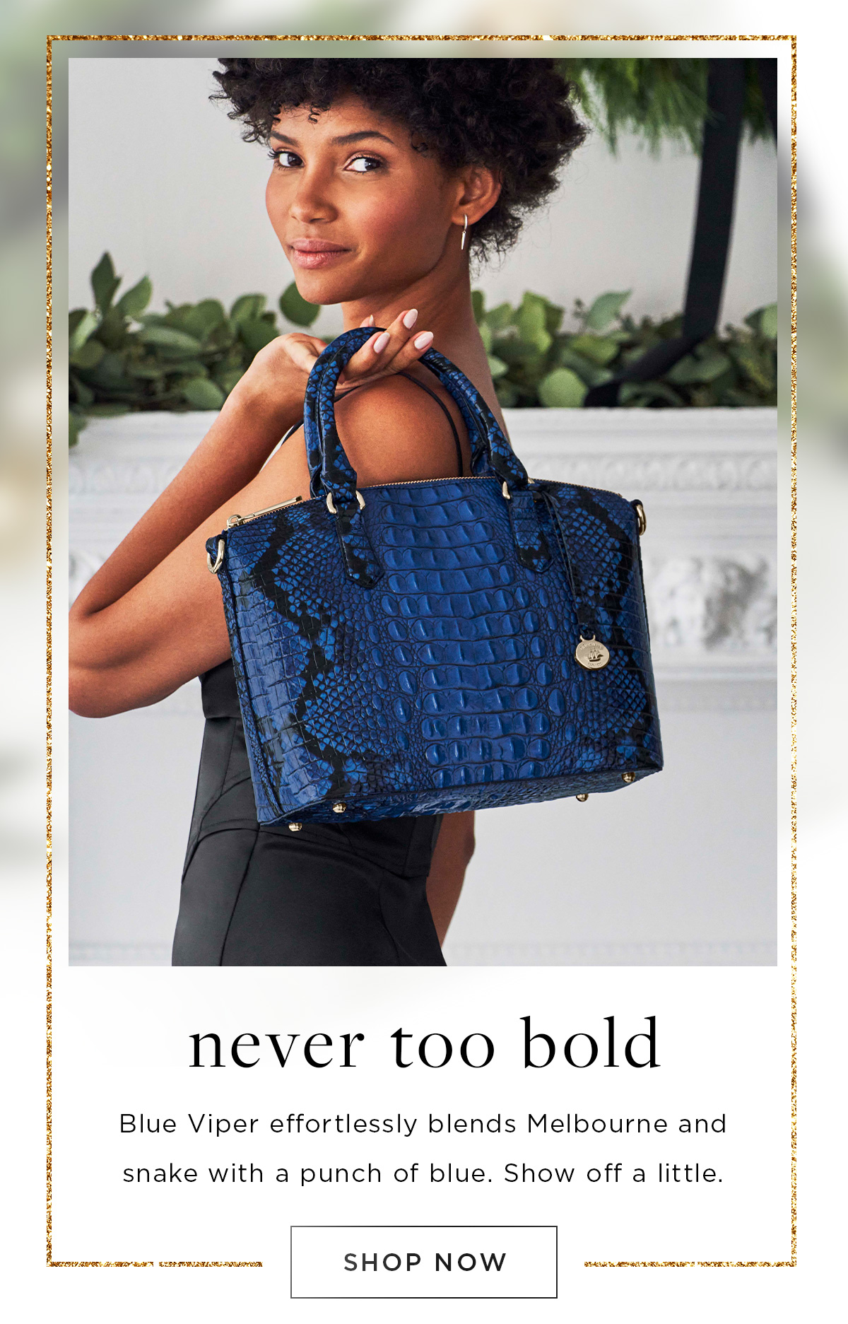 Brahmin: TRENDING 🐍 Snake prints and bold hues | Milled