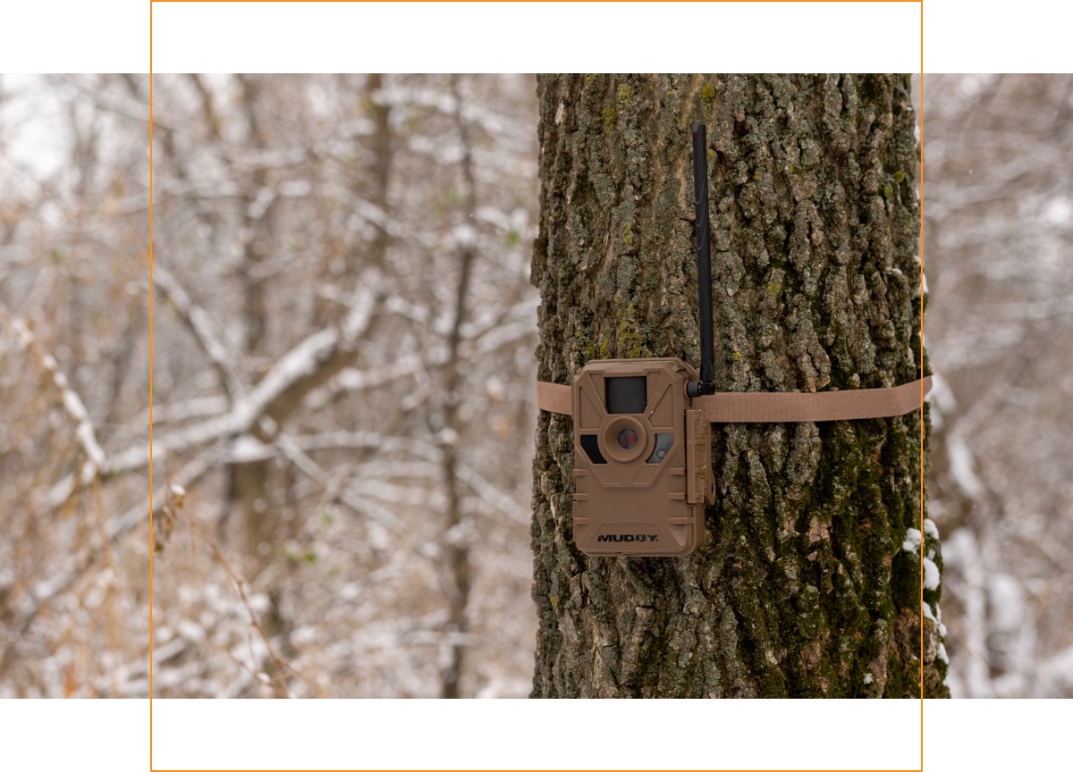 HuntStand: Early Access — Free Muddy Trail Camera | Milled