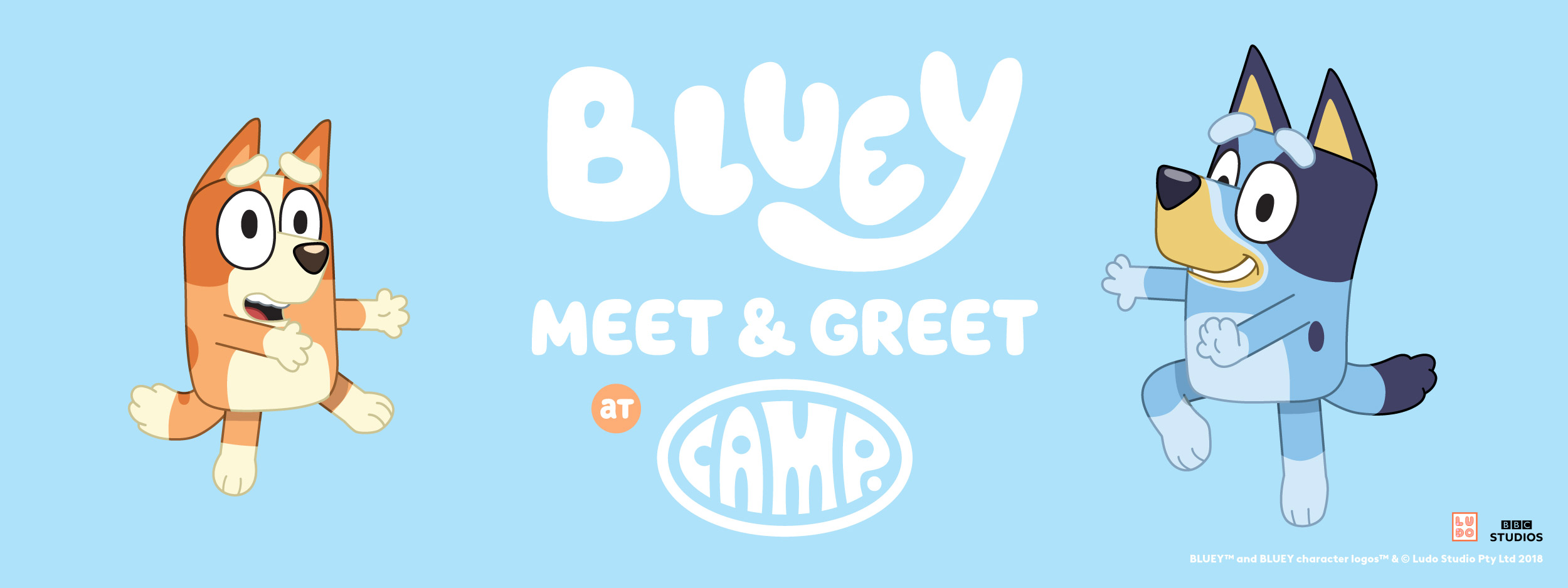 CAMP: Don't miss Bluey's next visit to CAMP! 🌟 | Milled