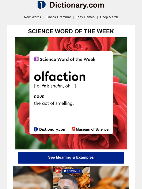 Dictionary.com: olfaction | Science Word Of The Week | Milled