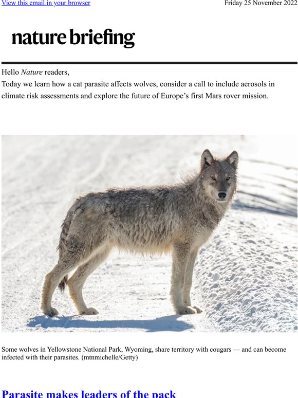Nature: Parasite gives wolves what it takes to be pack leaders | Milled