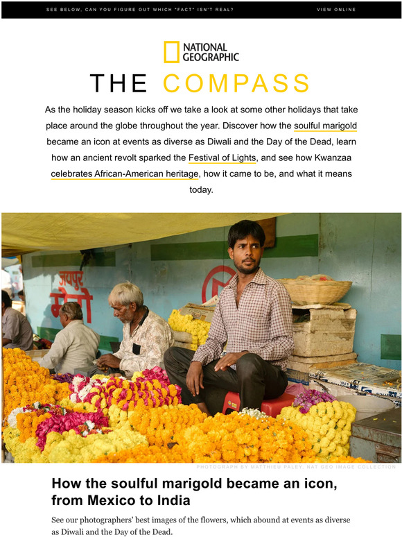National Geographic: The Compass: Holiday Edition - Turkey trivia, New ...