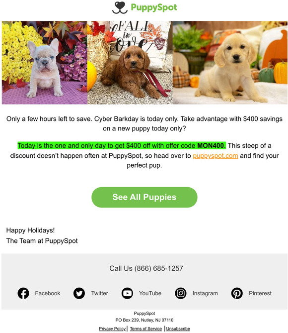 Where Is Puppyspot Com Located