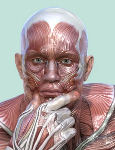 DAZ 3D: Muscle Maps and Shape Shift - Genesis 9 to the Next Level | Milled