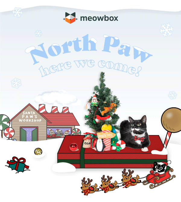 Meowbox: North Paw, here we come 🦌🛷 | Milled