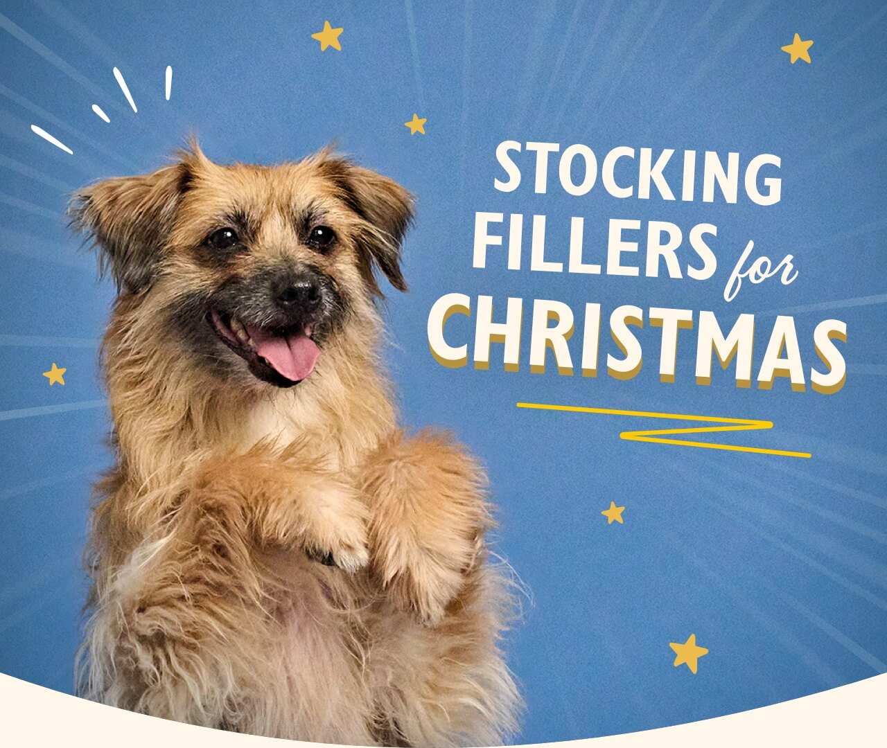 Lily's Kitchen: Stocking Fillers for Furry Friends 🐶 | Milled