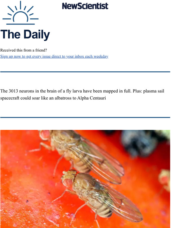 New Scientist: Neurons in fly larva brain mapped in full | Milled
