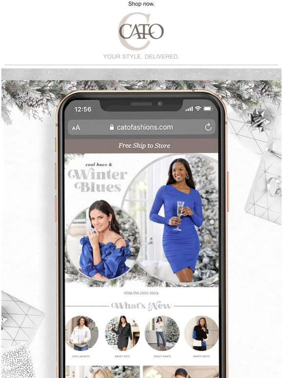 Cato: Have You Seen What's NEW?! | Milled