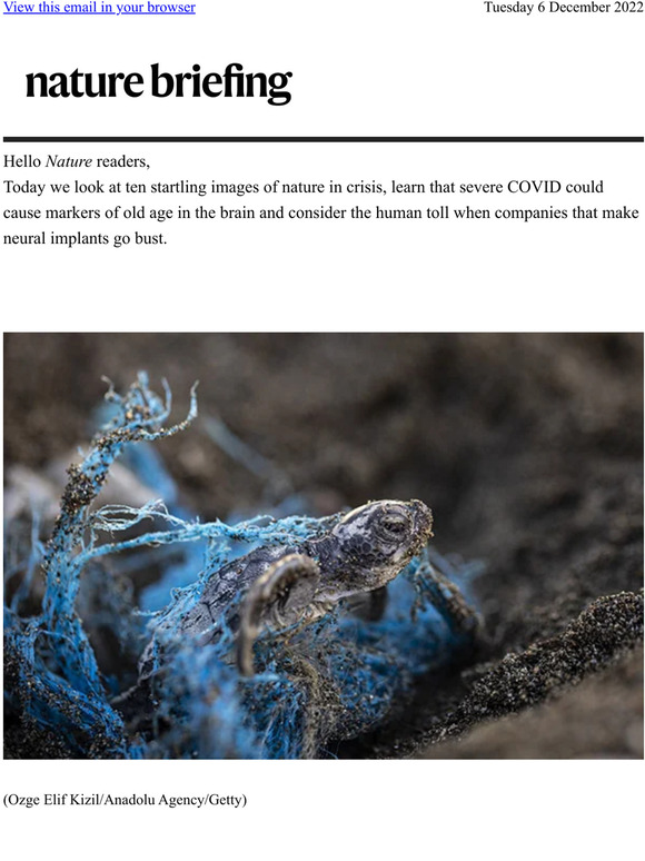 Nature Journal: The biodiversity challenge in ten stunning pictures ...