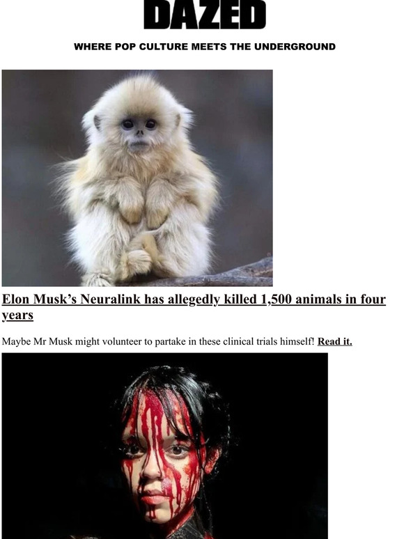 Dazed and Confused: Elon Musk’s Neuralink has allegedly killed 1,500 ...