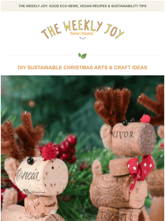 Flora and Fauna: DIY Sustainable Christmas Art & Craft Ideas 🎨 | Milled