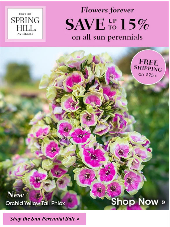 Spring Hill Nursery: You’ll always have flowers with our perennials ...