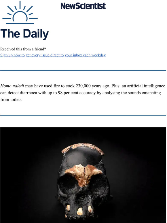 New Scientist: Homo naledi may have used fire 230,000 years ago | Milled