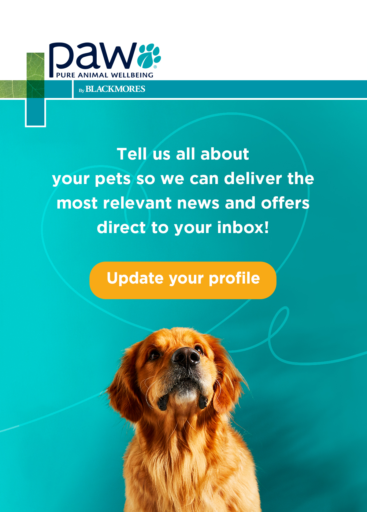 Blackmores: Update your PAW profile now! 🎉 | Milled