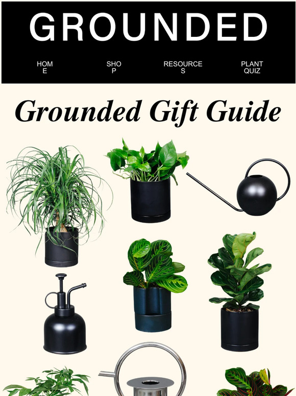 Grounded Plants: Grounded 2022 Gift Guide 🎁 | Milled
