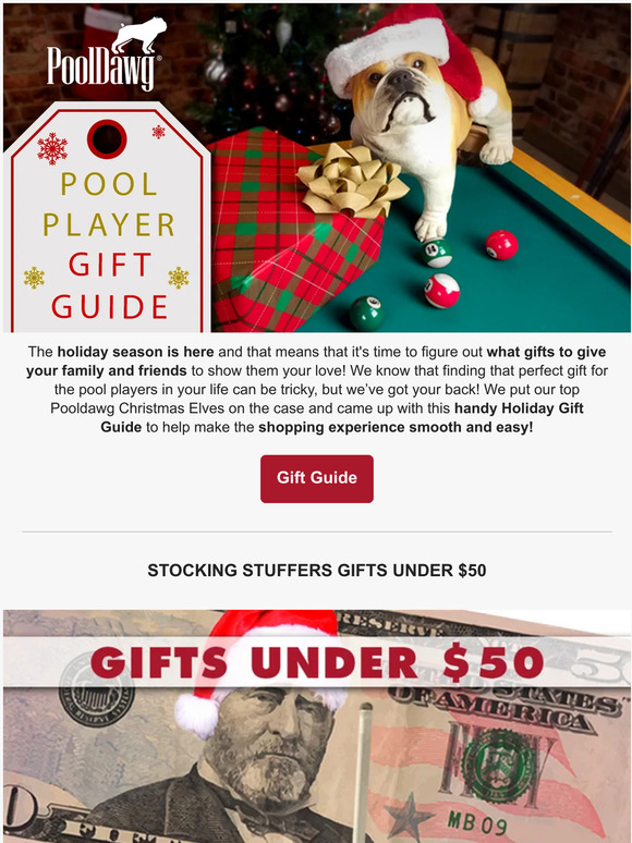 PoolDawg: 🎁 PoolDawg’s Holiday Gift Guide 🎅 Perfect Pool Presents for ...