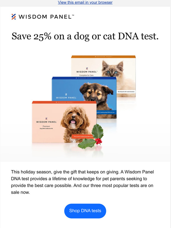 Wisdom Panel: Your pet's night vision explained | Milled