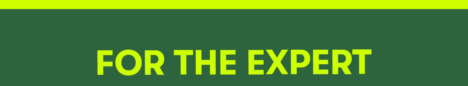 Rooted: The 2022 Rooted Gift Shop is here! 🎁 | Milled