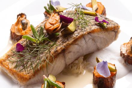 Scoopon: Sydney: Quoi Dining Multi-Course Tasting Menu Experience | Milled