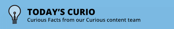 Curious: Curio #2563: Creepy crawly holidays | Milled