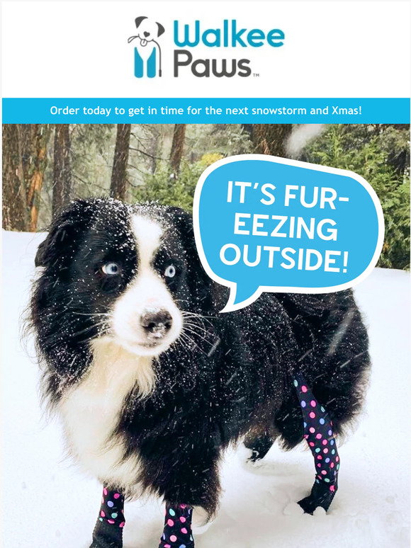 Walkee Paws: Winter Storm Warning | Milled