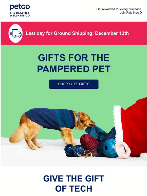 Petco: Savings you’ll love on the gifts they’ll love 💰 | Milled
