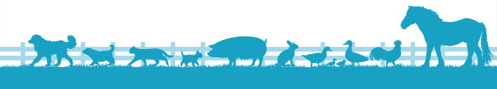 The Vet Shed: New Products Have Just Arrived! Take a Look 👀📦🐾 | Milled