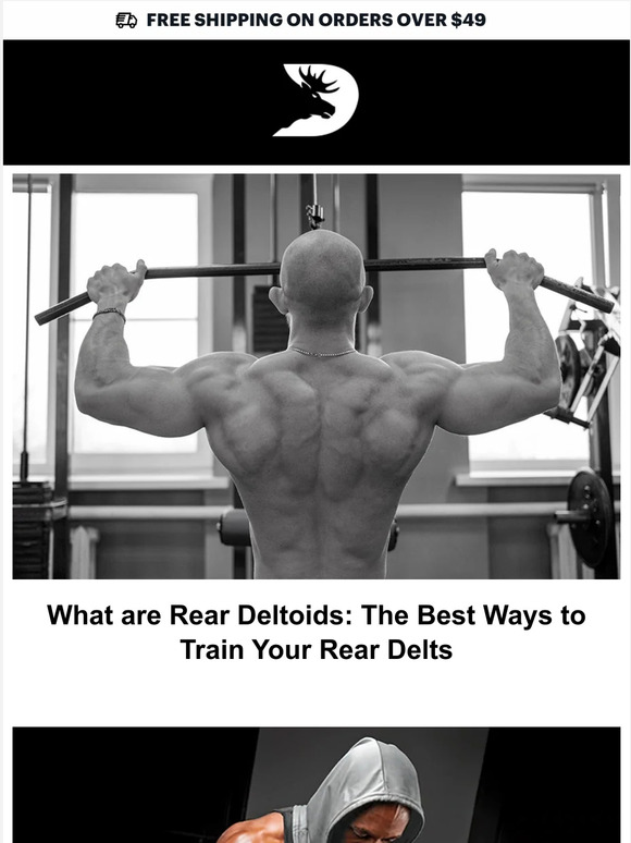 DMoose Fitness: Build Stronger Shoulders Now 💪🏼🏋 | Milled