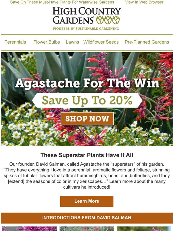 High Country Gardens: These Superstar Plants Have It All | Milled