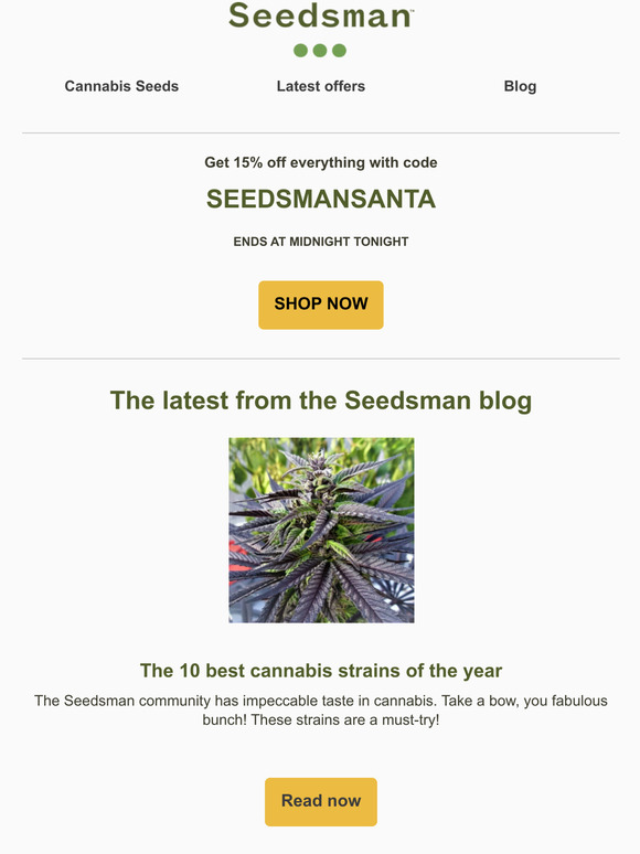 seedsman: 10 best cannabis strains of 2022 🏆 | Milled