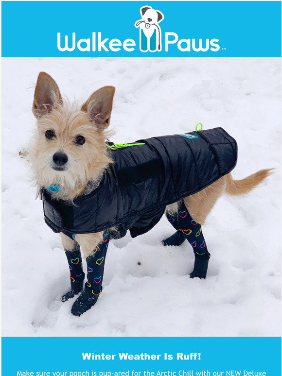 Walkee Paws: Paw-fect Protection for Freezing Weather | Milled