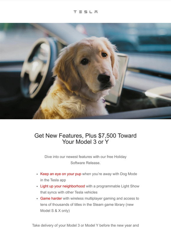 Tesla: Ring in the New Year with Tesla's Latest Features and Perks | Milled