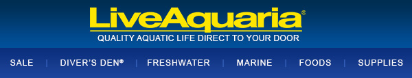 LiveAquaria.com: Marine & freshwater fish included in our Weekly ...