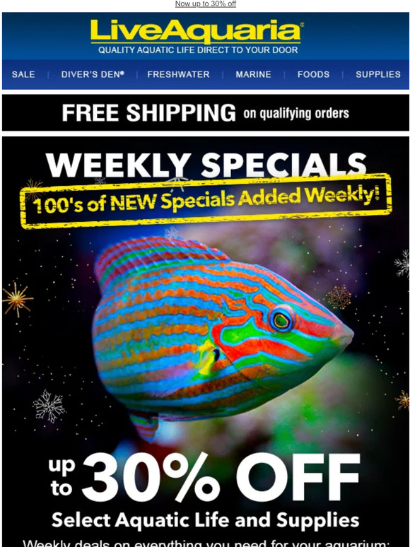 LiveAquaria.com: Marine & freshwater fish included in our Weekly ...