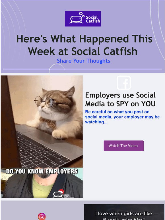 Social Catfish: Online safety is non-negotiable: How to secure your ...